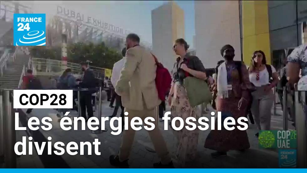 COP28 : présence record des lobbys en pleines négociations sur les énergies fossiles - France 24